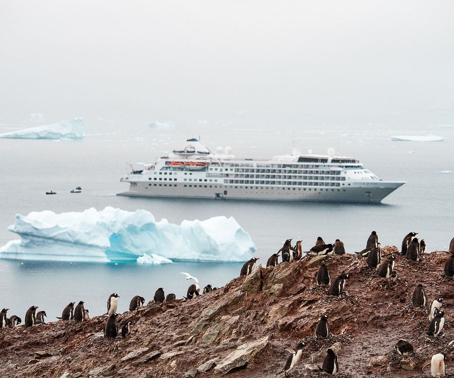 Silver Wind Expedition - Jetzt günstig buchen